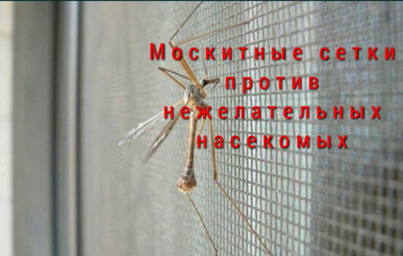 Раздвижные сетки на окна и двери установка бесплатно!