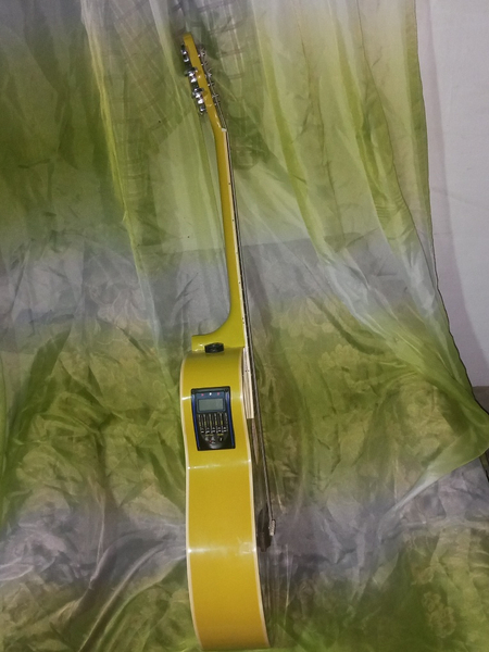Akustik gitara4050