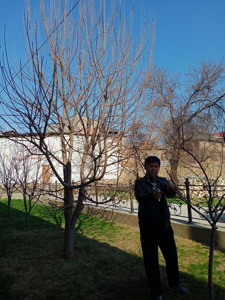 Bogbon xizmatlari