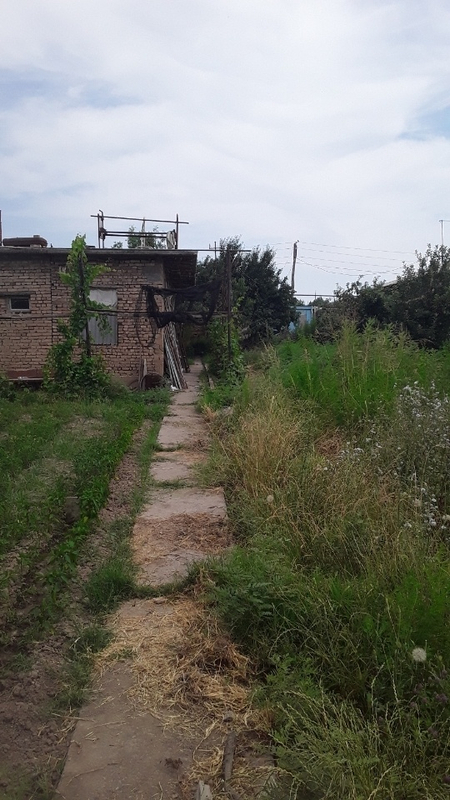 Кибрай Майский 15 сотули  8500 уе дан сотиги жойида келишилади