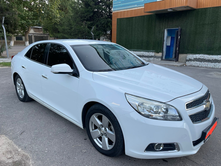 Special Offer!!! MALIBU 1