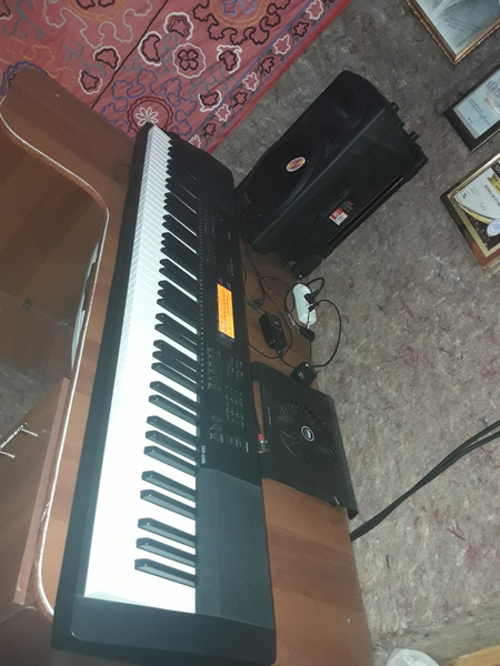Электропианино Casio CDP 220