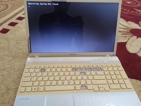 Ноутбук Sony VAIO VPCEH3R1