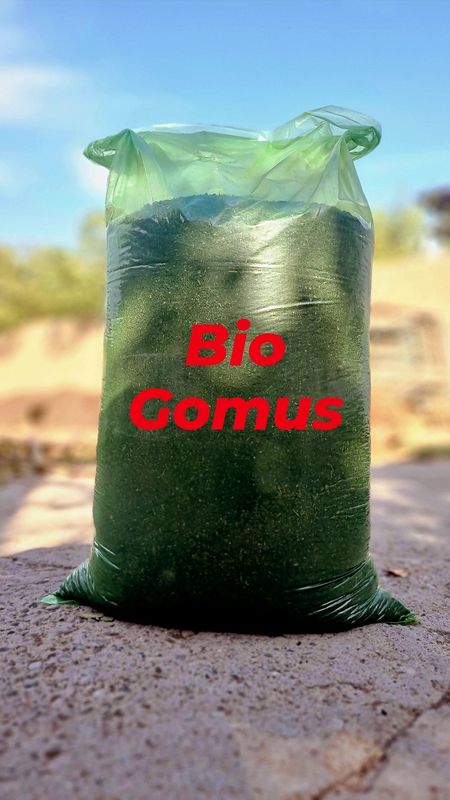 BioGumus 1kg 2000 min Qopi ( 40 kg ) 80.000 min