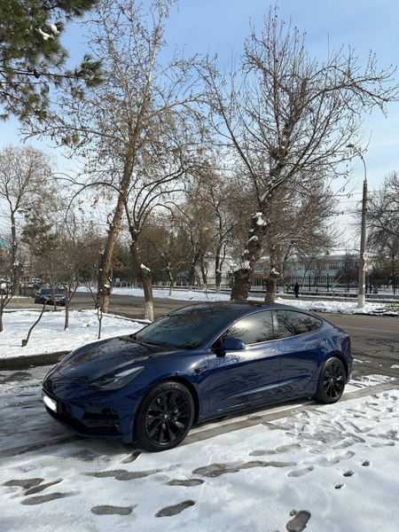 Tesla model 3 dual mator
