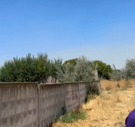 Yer Mirzo Ulugbe TTZ yugnaki