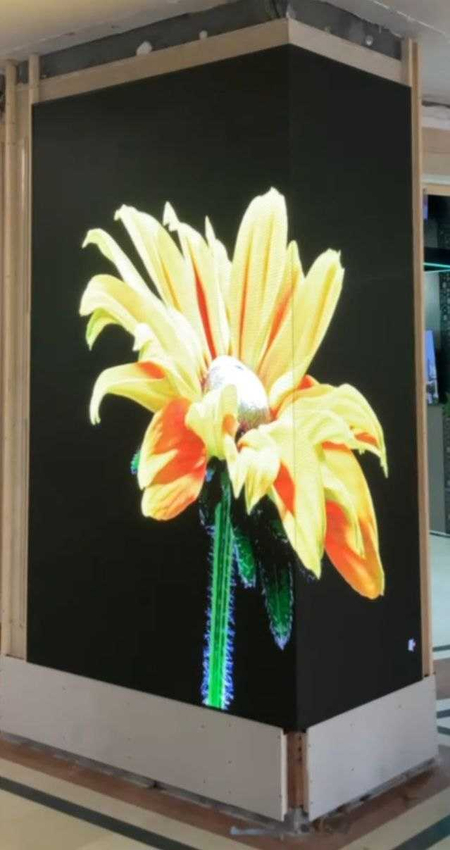 Видеодисплей LED