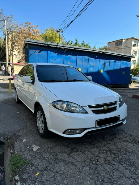 Jentra 2020 1 pazitsa