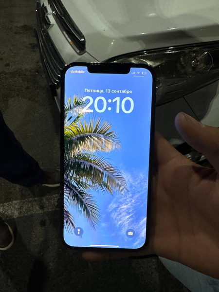 Iphone 12 pro max 256 gb