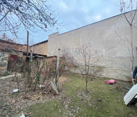 Salamatinada sotiladi 3,3 sotix