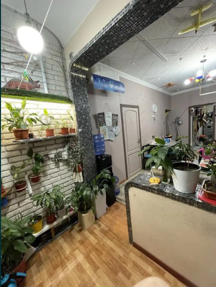 Чиланзар 10кв  2/4/4   1,5*3м²    45м²