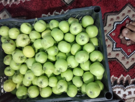 Almacha sotiladi yana bor