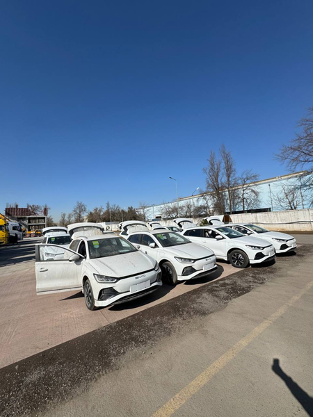 Byd E2 Luxury позиция ок ранг 12 дона бор