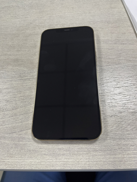 iphone 12 pro max 256gb