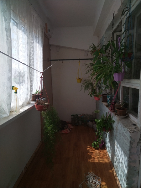 2-х комнатная квартира