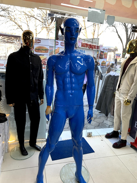 Avatar maniken sotiladi