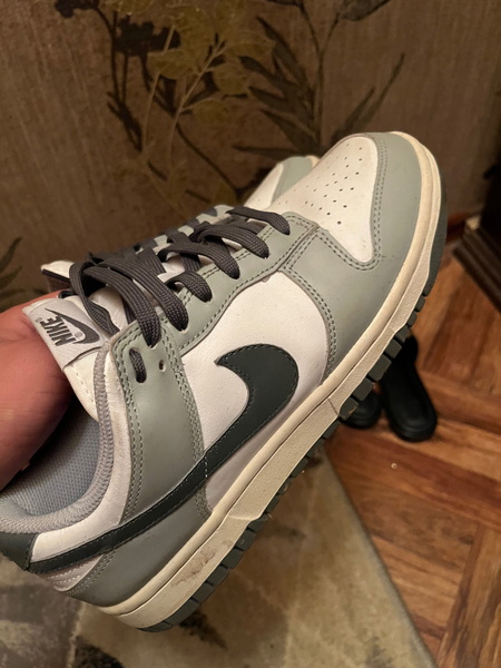 Кроссовки Nike Dunk “Light Smoke Gray”