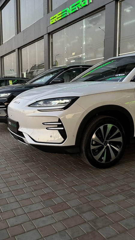 Byd chempion honor full