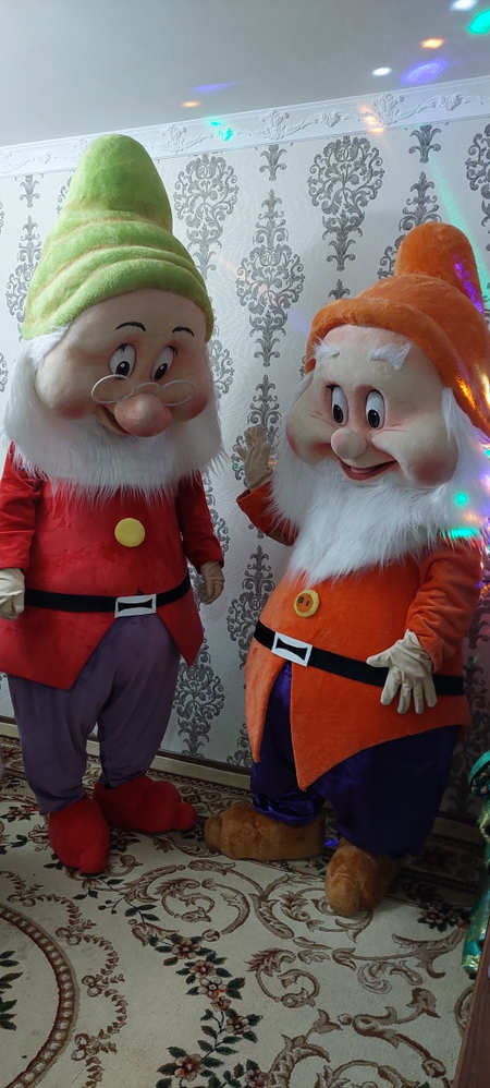 Animator va Oformlenya xizmati