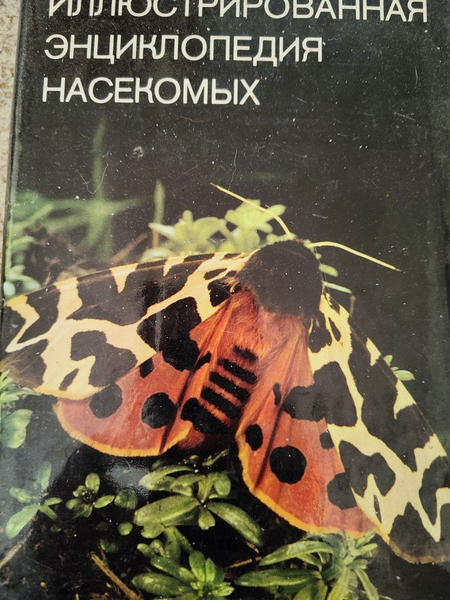 Все для школьников