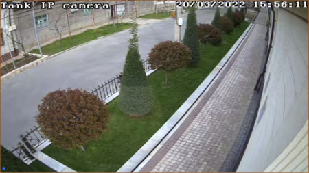 Декоративные деревье можжевельник 11 штук, декор деревя 11 штук
