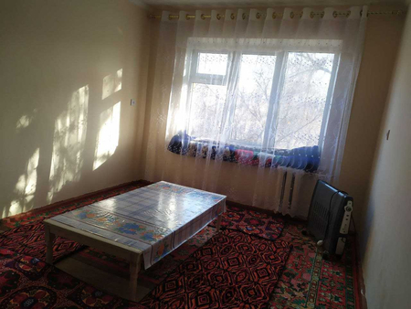 Академгородок IT-парк 1-комнатная 3/5 28 м² кирпич чистая