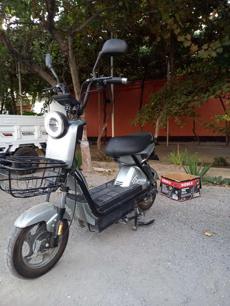 Tesla skute rrabochiy