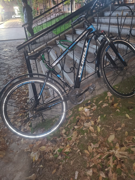 Uskurli velasafit