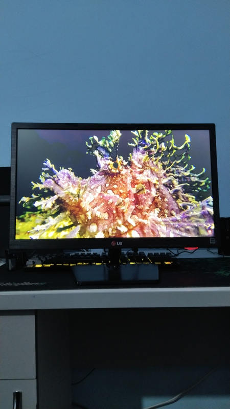 ZEUS manitor 19 holati ideal 1440x900 Vga