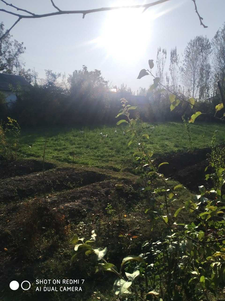 uchaska sotiladi Oq oltin mfy anday q/q arentr palklenika orqasida