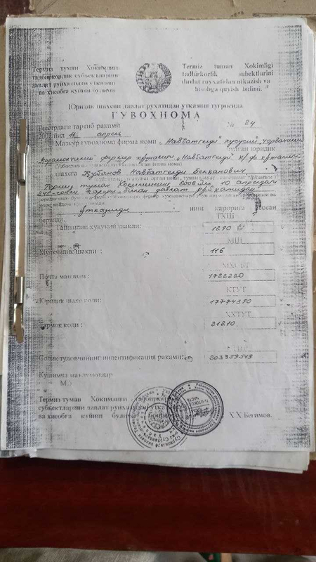Шошилиня  Термиз туман, чорвачилик фермер СОТИЛАДИ.