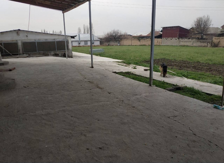 Toshkent tumani novoyida yer sotiladi 1sutugi 8500$min