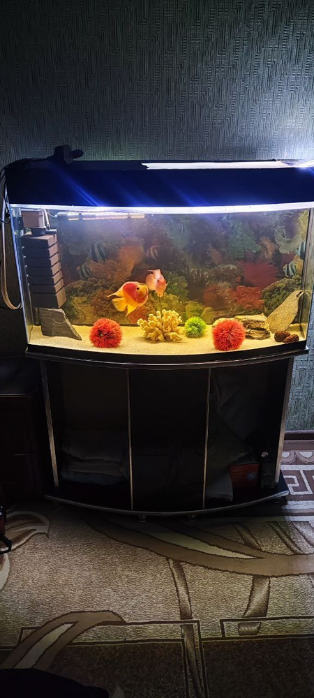 200 litrli akvarium