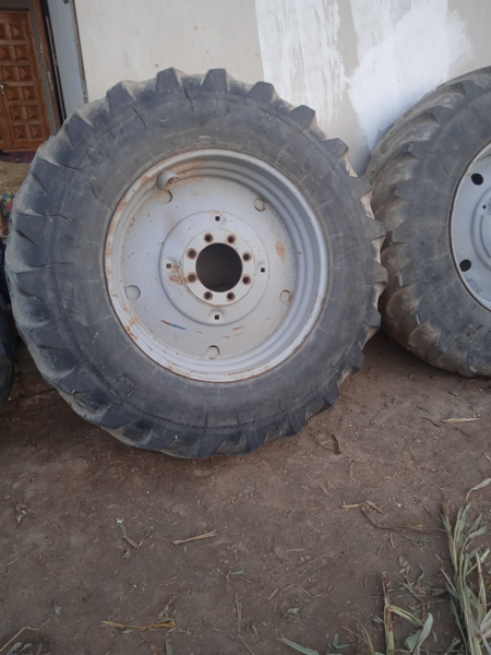 MTZ traktor balonlari