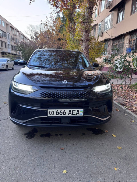 Leapmotor C11 Extended 300 Smart