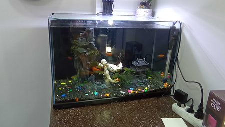 Akvarium sotiladi. 38*60*32