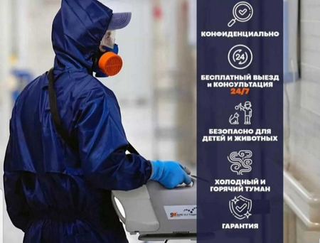 Дезинфекция клопов тараканов. Дизинфекция Dezinfeksiya Dizinfeksiya