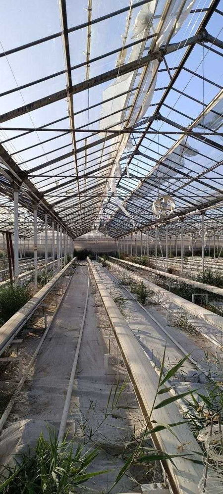 Продажа Земельного участка  кипчок кибрай  ID:034