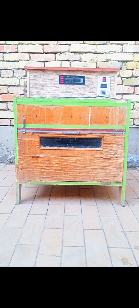 Inkubator 600 ta tuxum sigʻadi