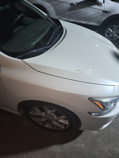 Nissan MAXIMA 3.5l