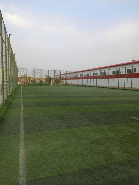 Sauna va mini stadion ko'chmas mulk sotiladi daromadli bizness