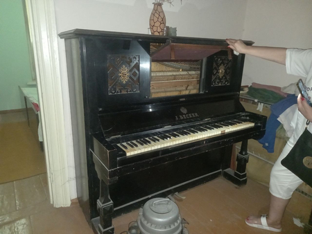 Pionino sotiladi