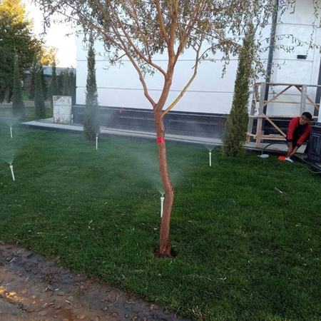 Vadapad va afta palif