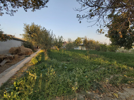 Дача дом земля участок dacha uy xovli hovli