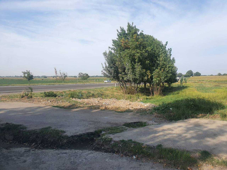 Продается земля в Янгиюле траса м39