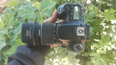 Canon 70D sotiladi