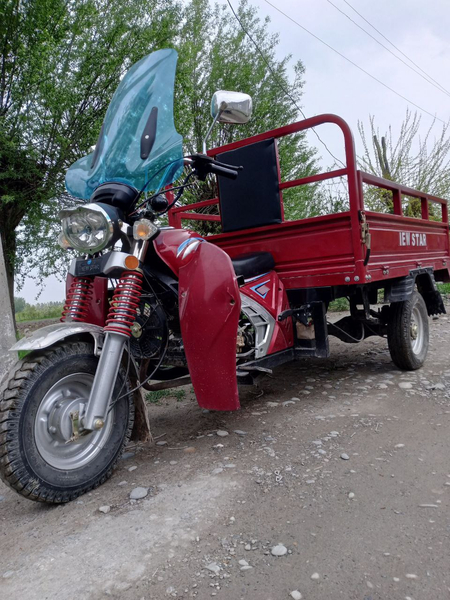 Muravek xolati alo darajada