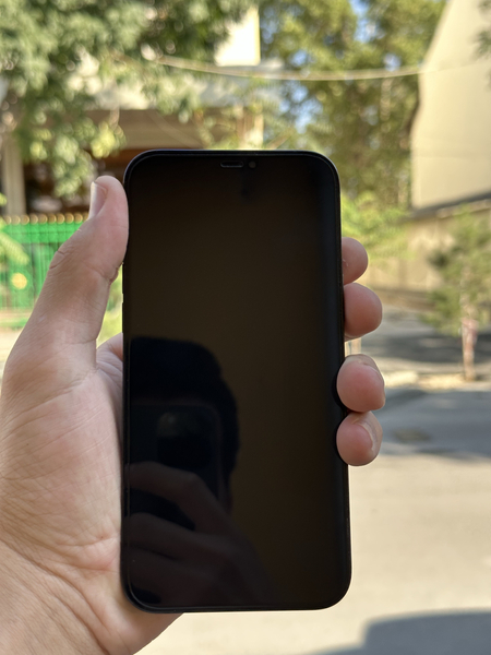 Iphone 12 pro max