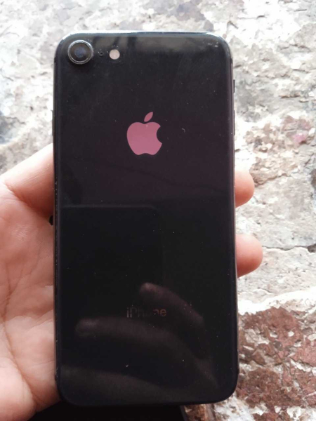 iPhone 8 sotiladi
