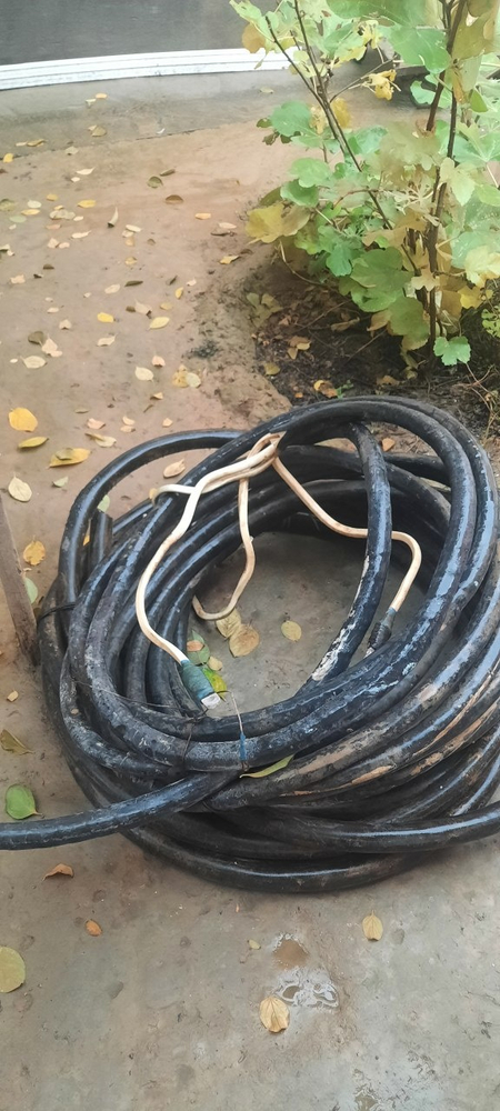 Kabel sim 95 380 volt
